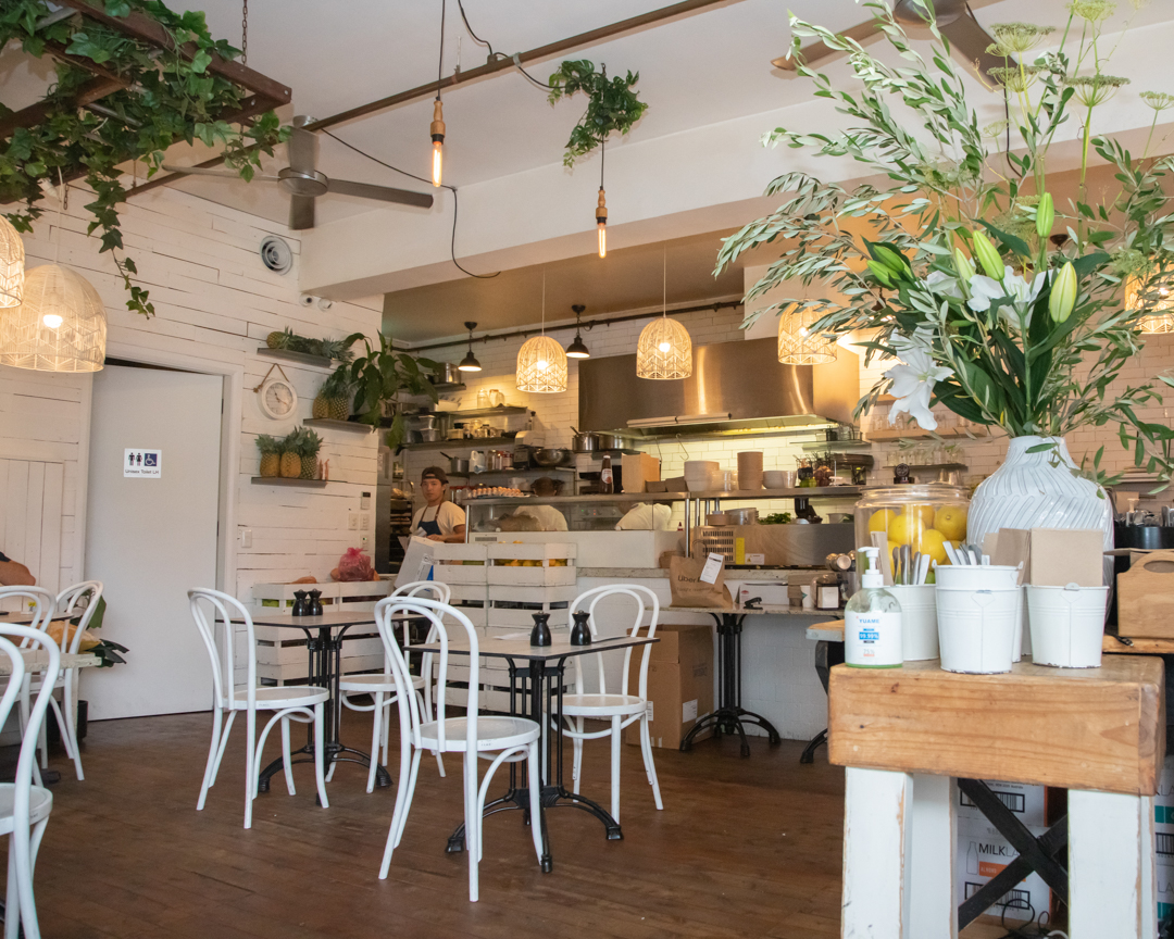Albert & Moore - Dog Friendly Cafe in Freshwater NSW - PawSpot