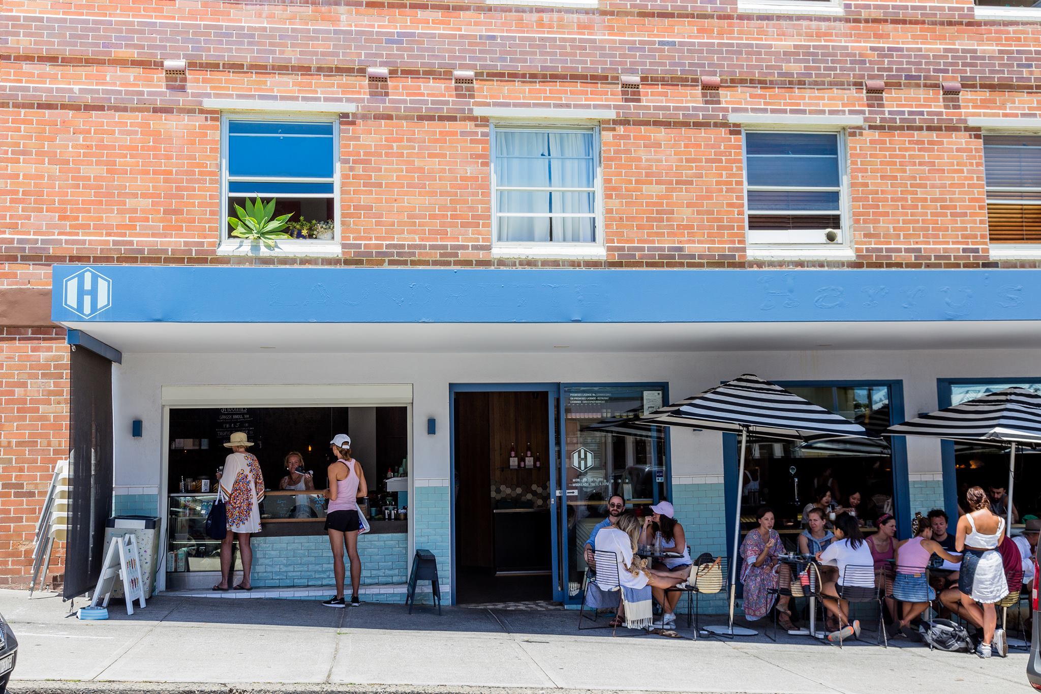 Harry’s Bondi - Dog Friendly Cafe in Bondi NSW - PawSpot